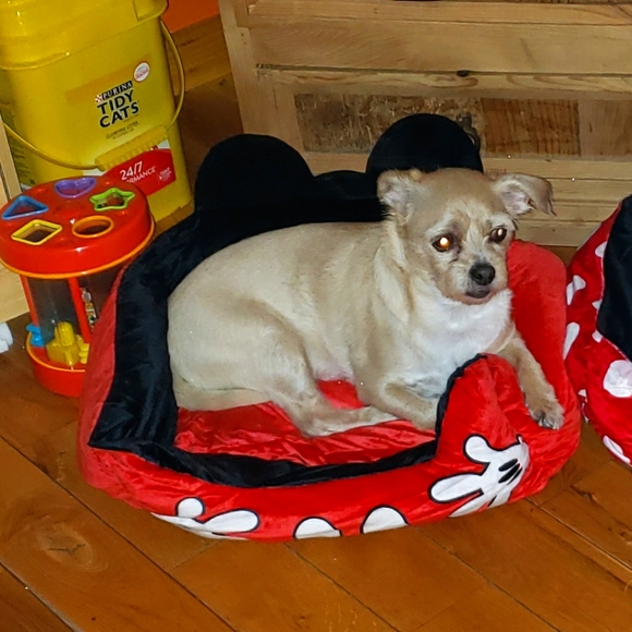 Mickey mouse pet bed Bedding & Blankets